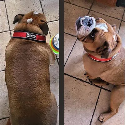 ️ Perfect fit... – Bulldog Grade